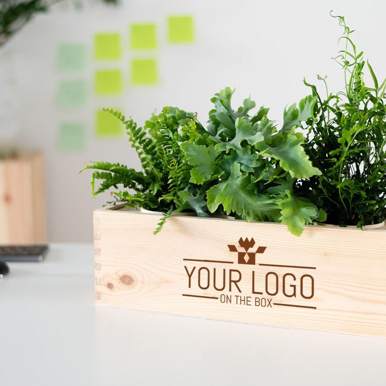 Duurzaam geschenk alternatief voor bloemen • Blooms out of the Box